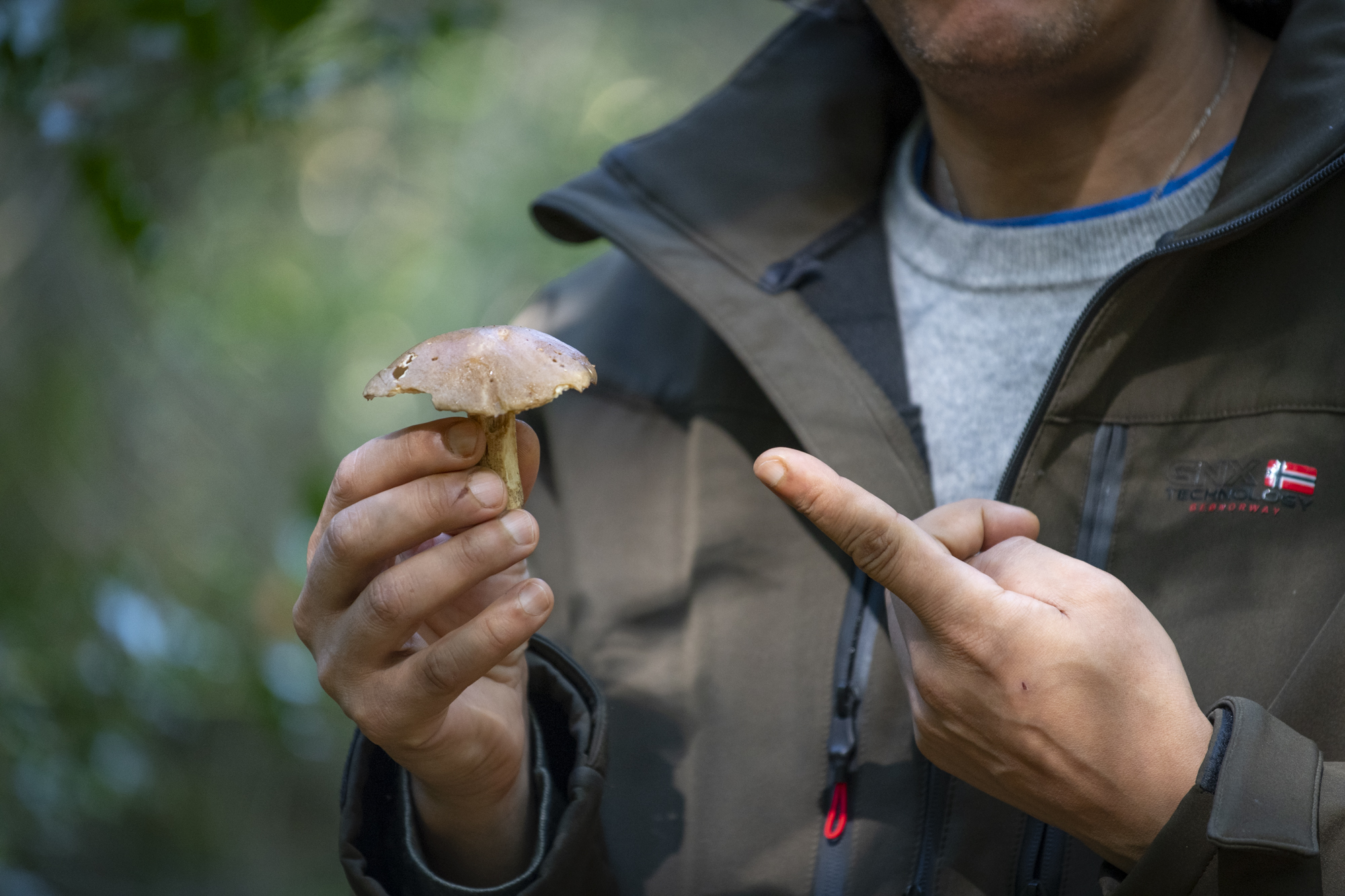 Discover Nature’s Bounty: Hedgerow & Forest Foraging with Brighton ...