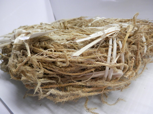 Hairy Vine - Bleached | WgtnPottersSupplies