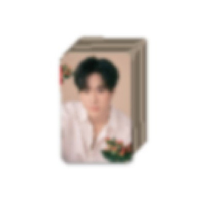 Gemini Noravit - Blooming Series Exclusive Photocard Set | Webuybangkok