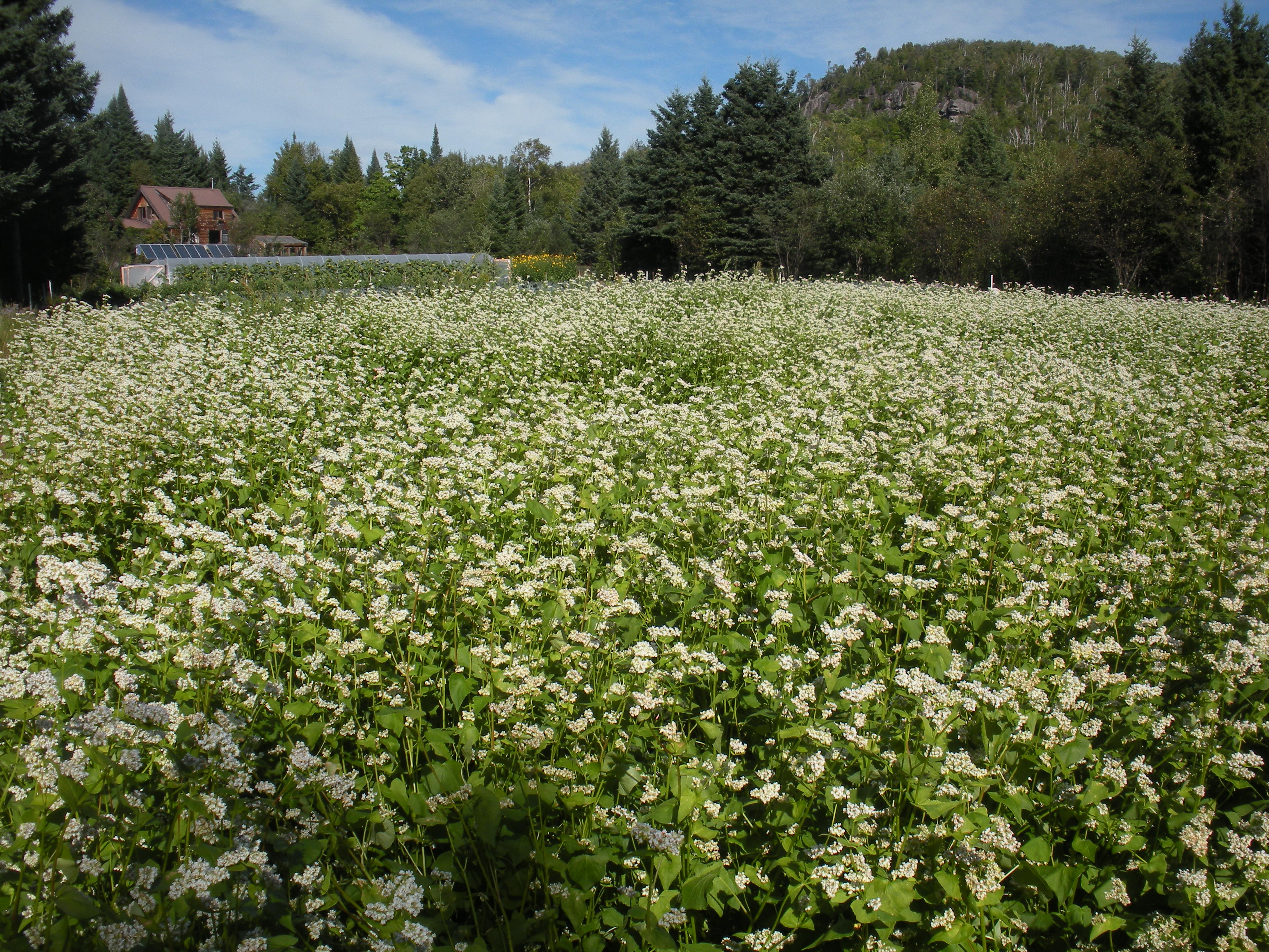 Round River Farm