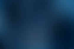 PRODUITS | ROMAINFOX