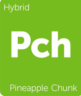 Pineapple chunk weed | Buy weed online