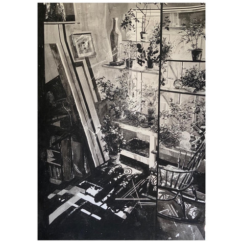 Fujiko Rose | Gallery | Contemporary Art