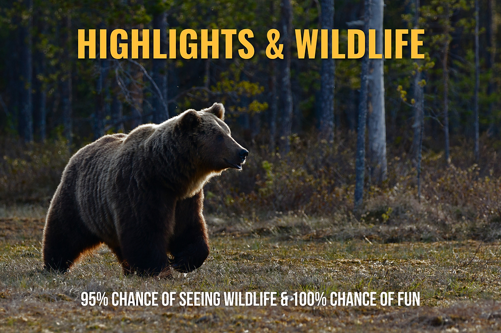 Small Group & Private Adventure Tours | Campervan Rentals | Banff & Calgary