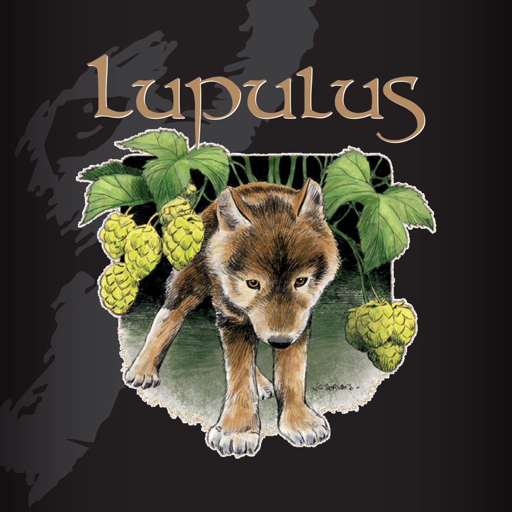 Cerveja Artesanal Importada | Meara Importação e Distribuição