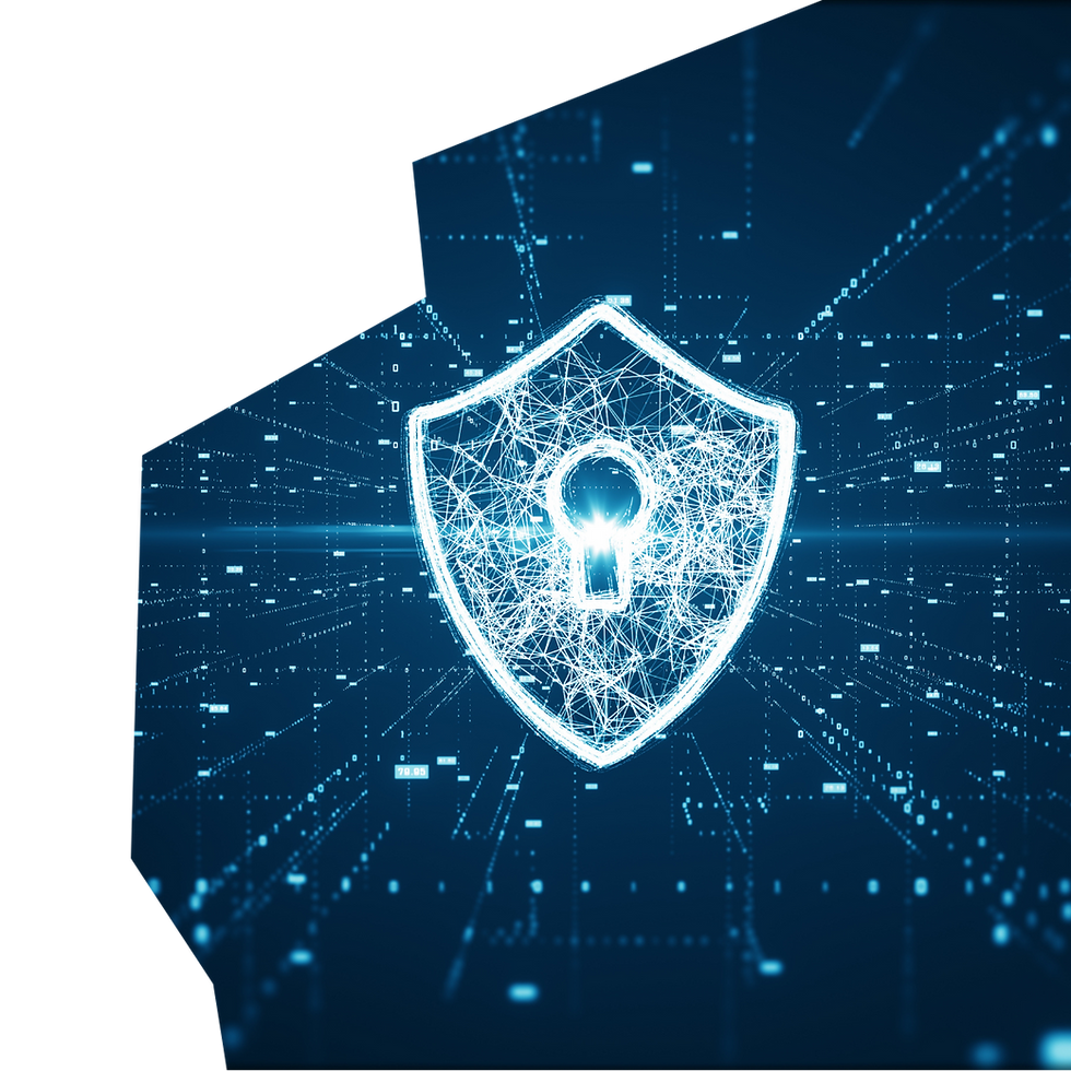Zynet | IT solutions for businesses