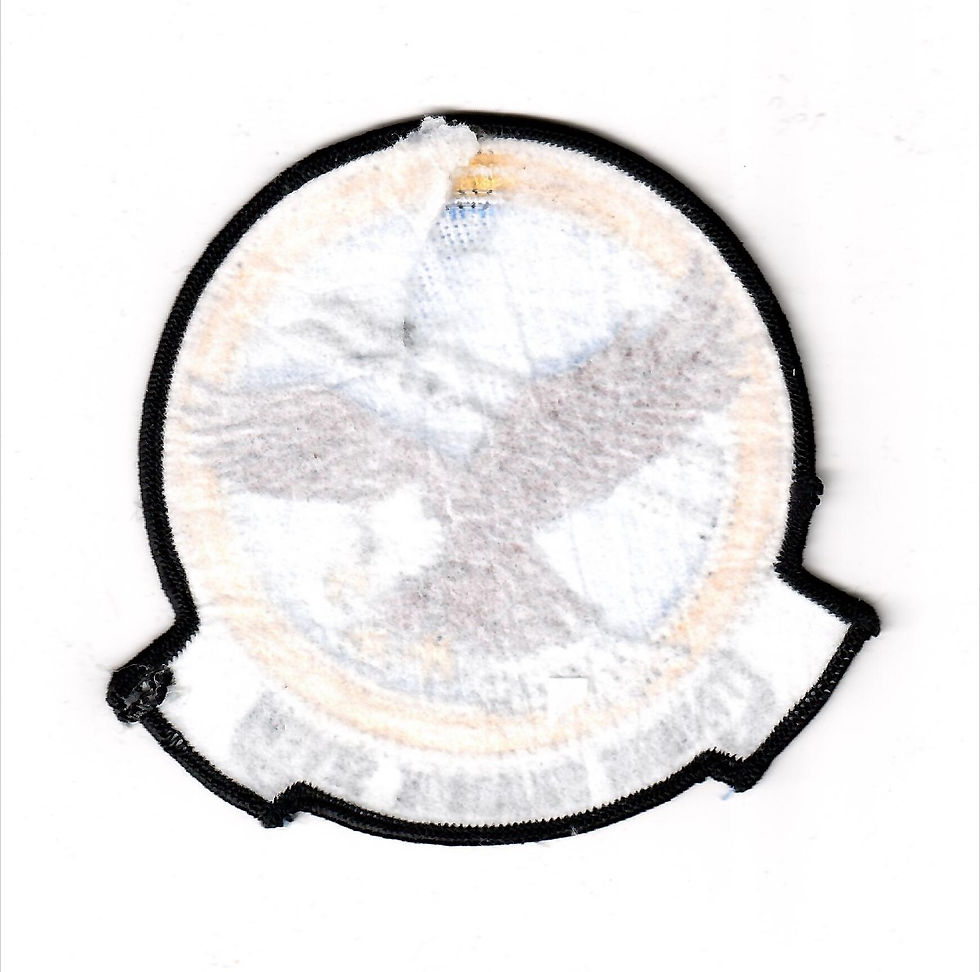 Navy Training Squadron Patches | BunkerMilitary