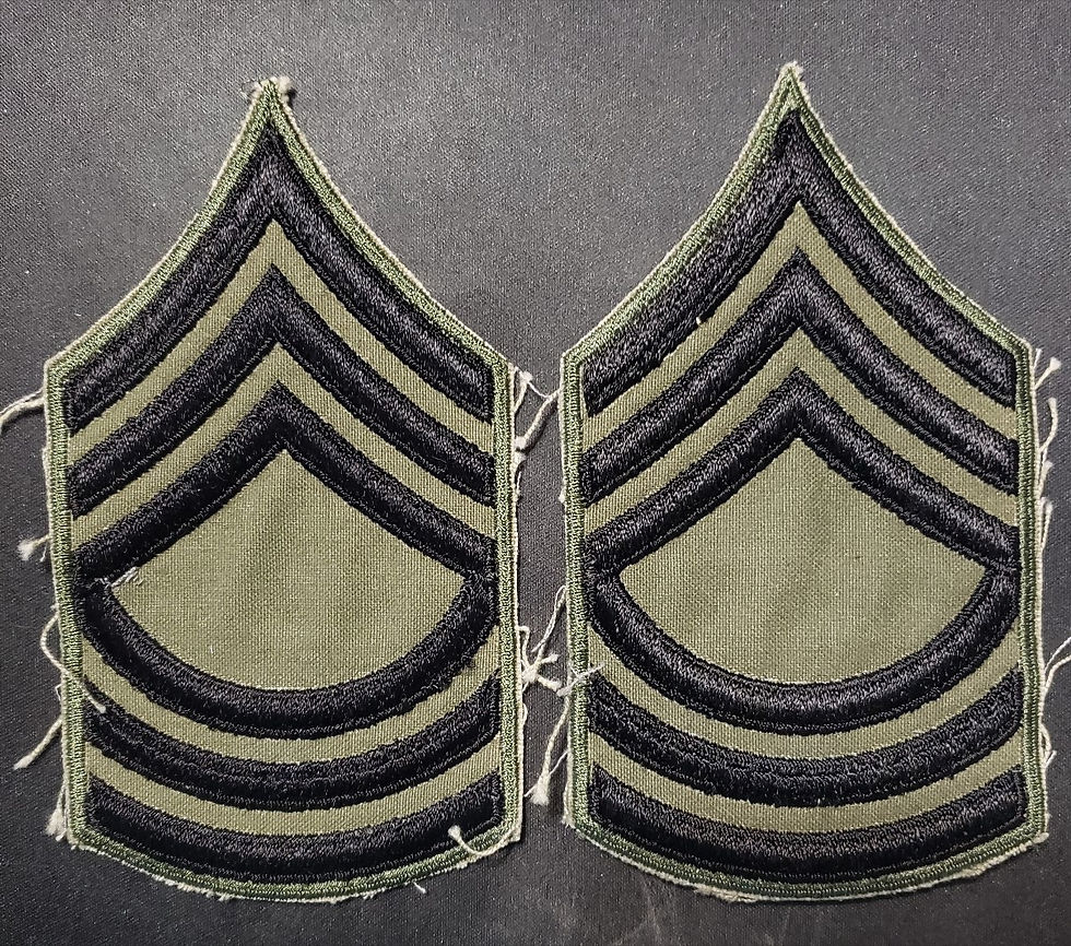 Army Sleeve Ranks | BunkerMilitary