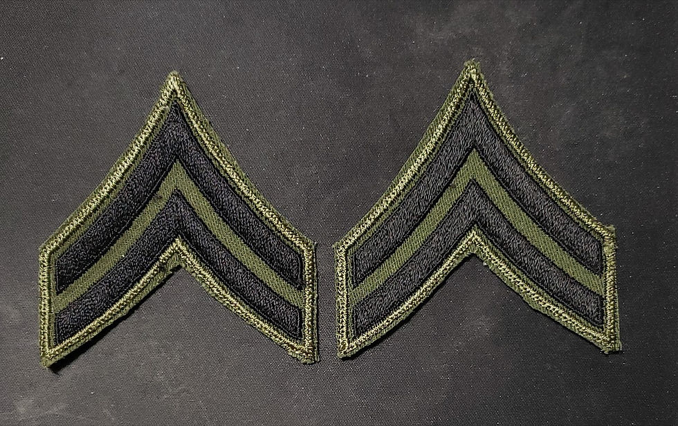 Army Sleeve Ranks | BunkerMilitary