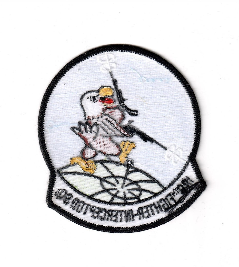 Fighter Interceptor Squadrons | BunkerMilitary