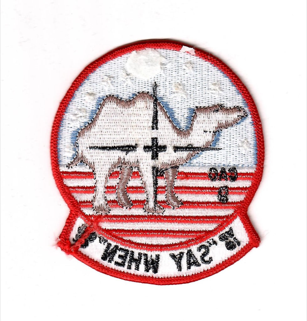 Navy VP Squadron Patches | BunkerMilitary
