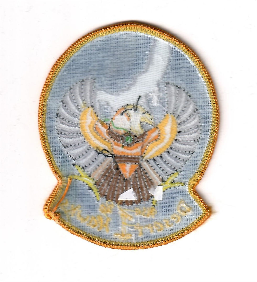 Navy HSC-HC-HAL Patches | BunkerMilitary