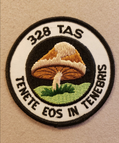 328th Tactical Airlift Squadron Patch | BunkerMilitary
