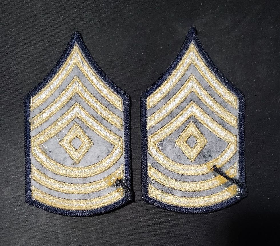 Army Sleeve Ranks | BunkerMilitary