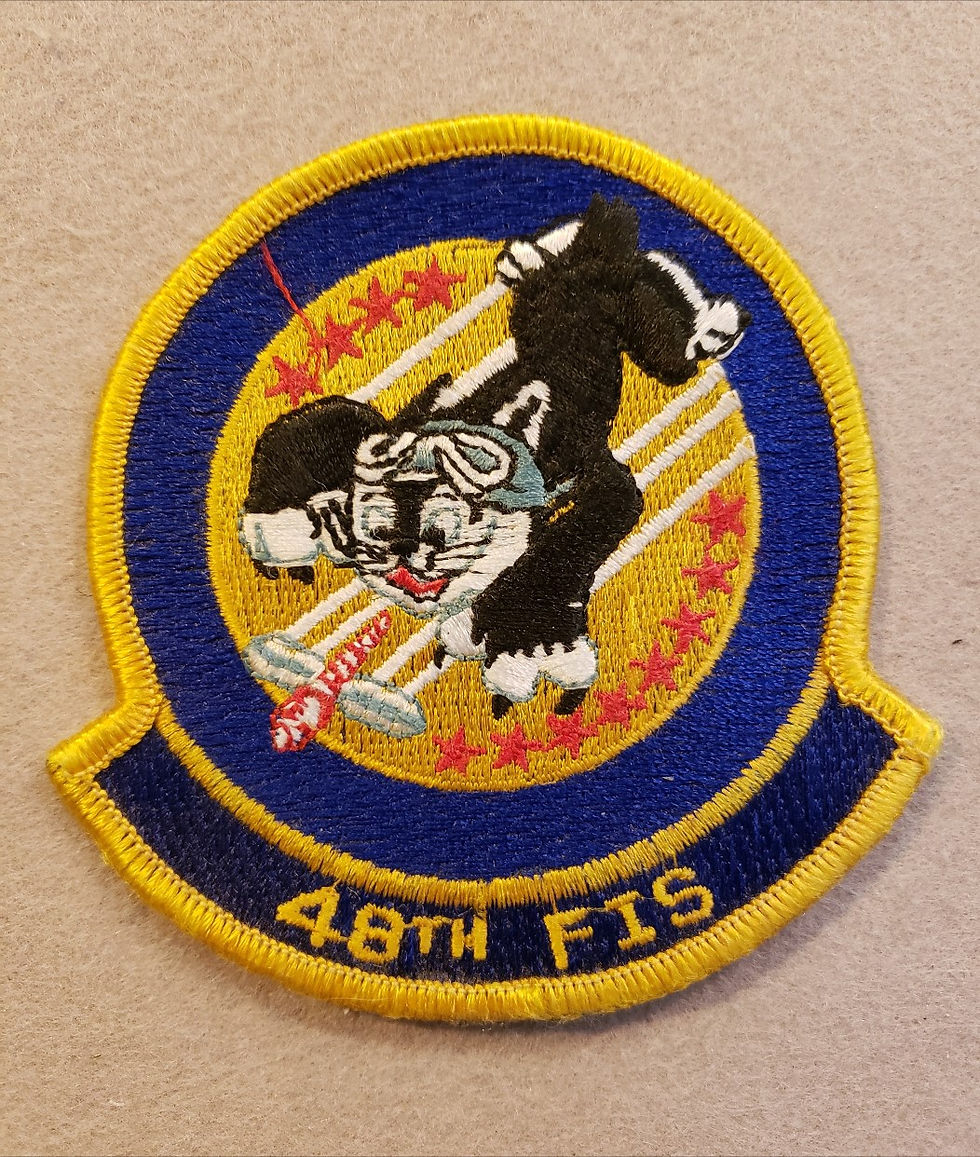 Fighter Interceptor Squadrons | BunkerMilitary