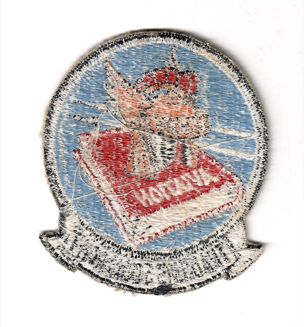 Navy Training Squadron Patches | BunkerMilitary