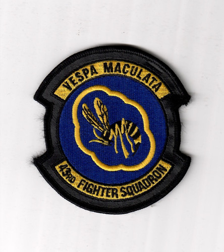 43rd Fighter Squadron Patch | BunkerMilitary
