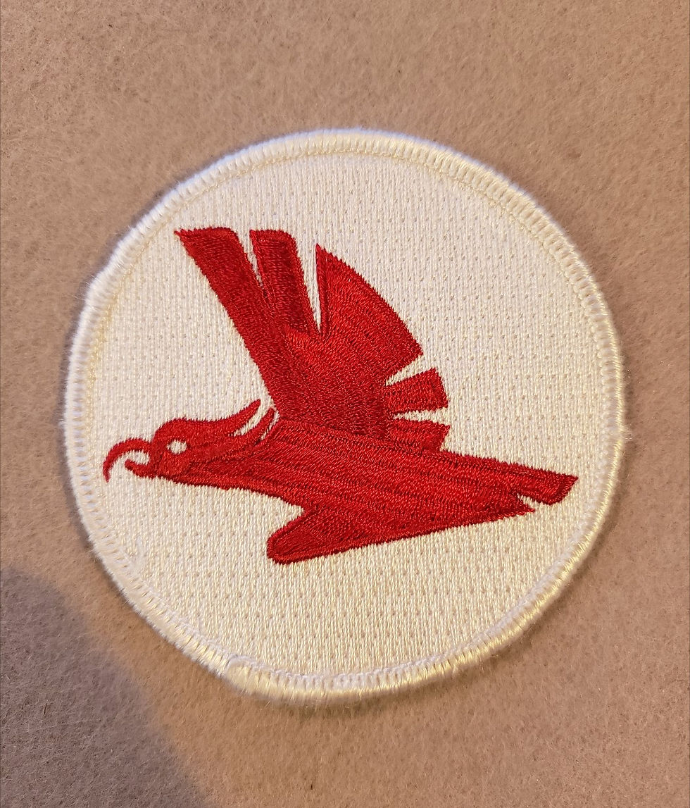 17th Tactical Airlift Squadron Patch Bunkermilitary