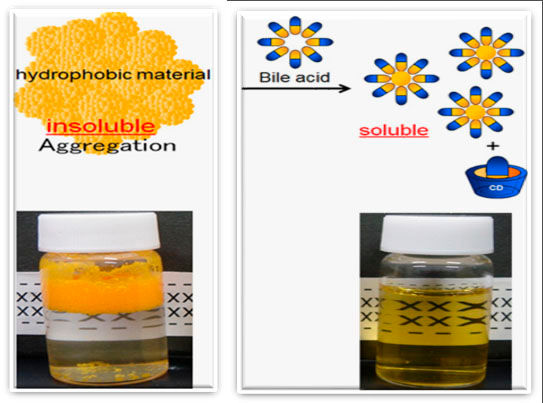Saponinas y su uso en Frutillas.