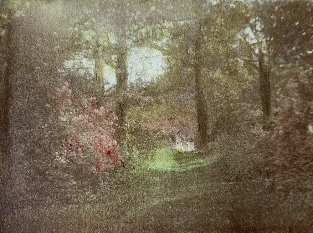 The Revised English Landscape Garden Style at Middleton Hall