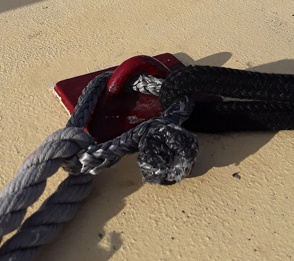 Turnbuckles & D-Shackles | AJ FENDERS