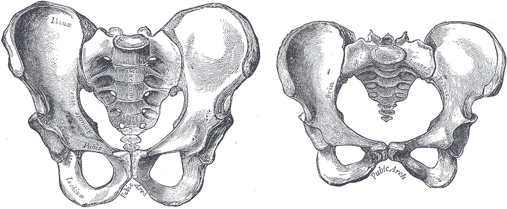 9 Postpartum Pelvic Floor Exercises