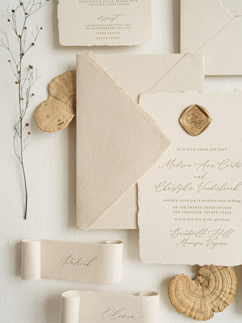 NUDE TONES | Bella Carta