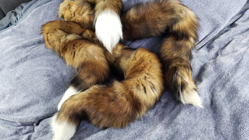 Sun Fox Genuine Fox Fur Tail | My Fluffy Tail