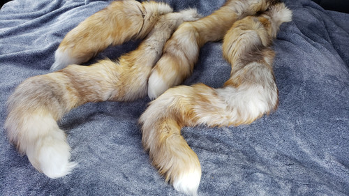 Golden Fox Genuine Fox Fur Tail | My Fluffy Tail