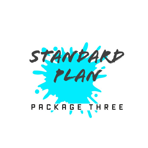 Standard Package | Toronto Media Plus