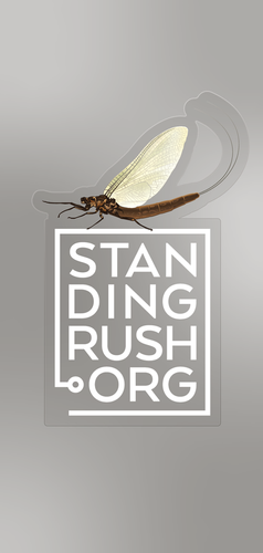 Mayfly Clear Decal | Standing_Rush_Shop