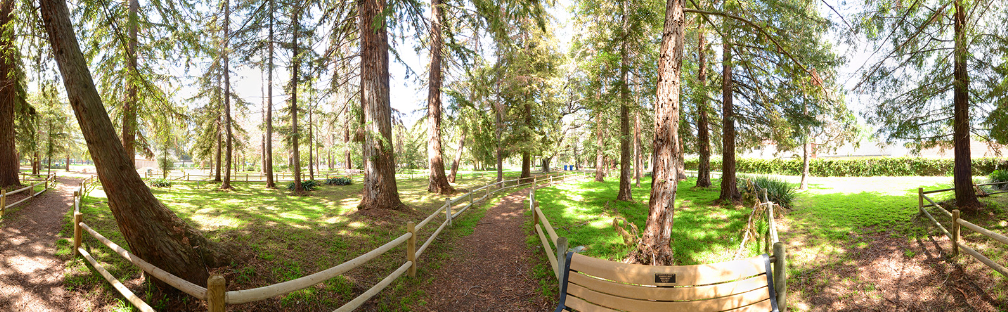 Goleta | Lobster Jo's Camps