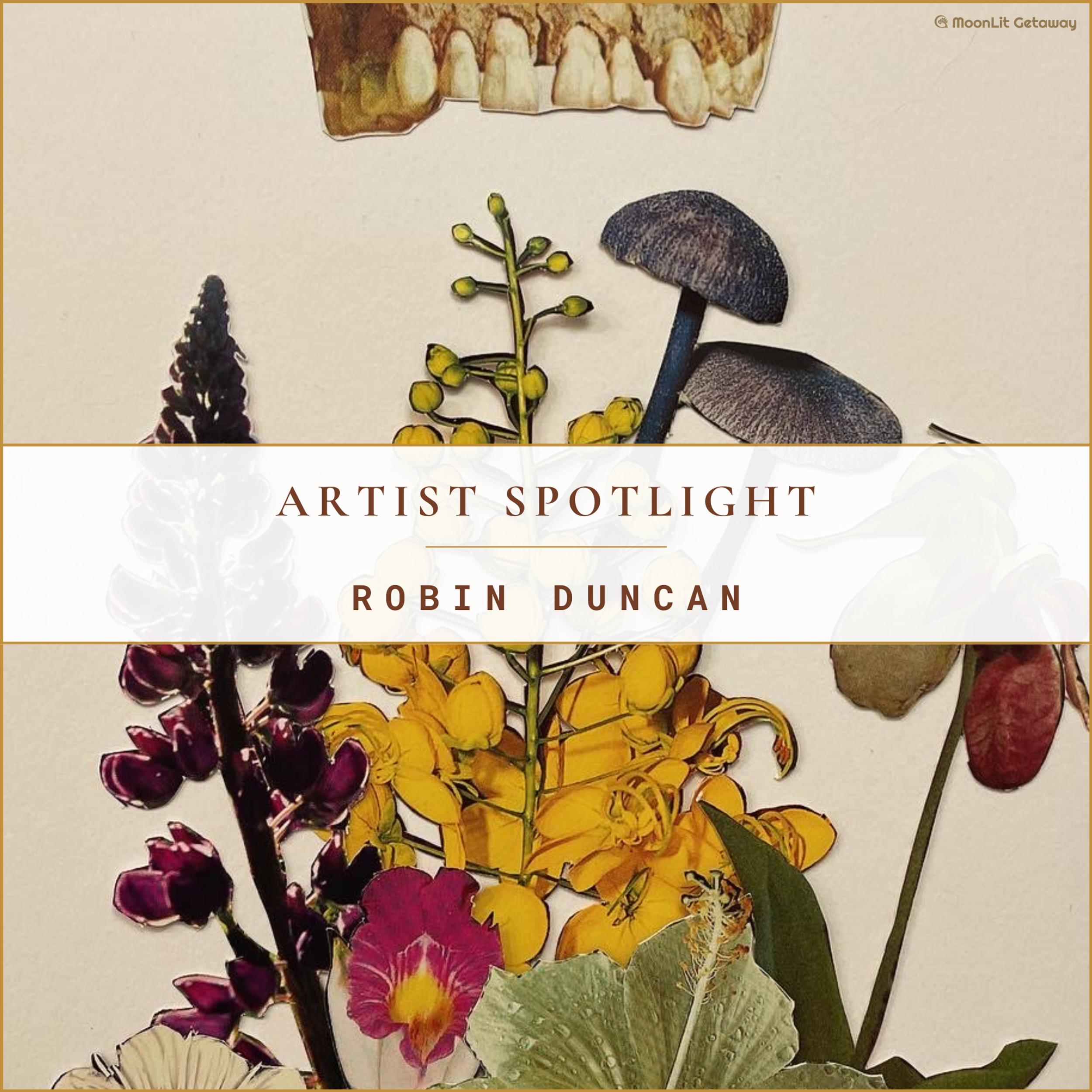 Artist Spotlight: Robin Duncan