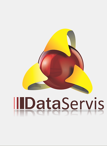 Data Servis | Desenvolvimento de Sistemas | Barbacena | DataServis