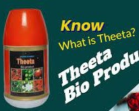 THEETA 100ML | Puspanjali Pranabir