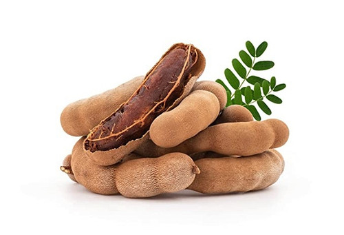 Sweet Tamarind | Plants Rose World
