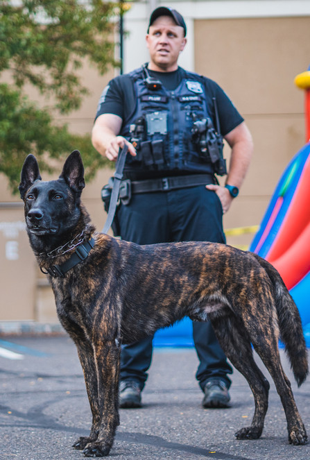 K9 Murphy | Warrington K9