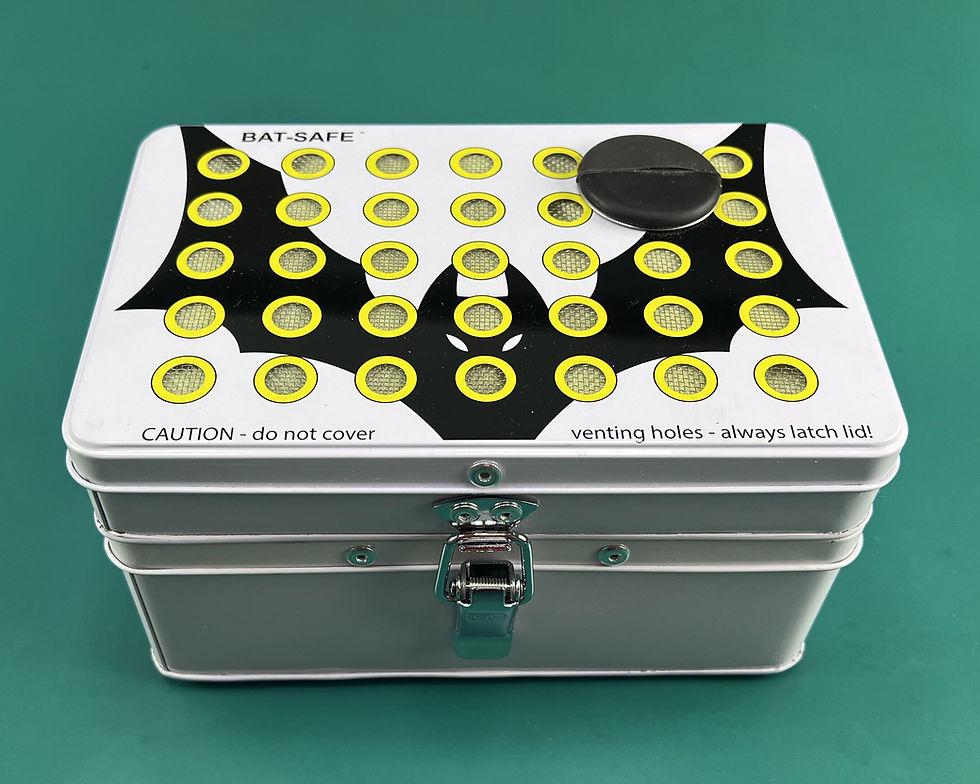 BAT-SAFE MINI | BAT SAFE