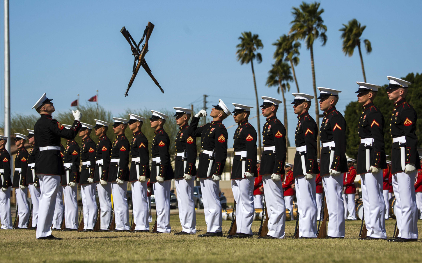 HOME | TNMarineCorpsLeague