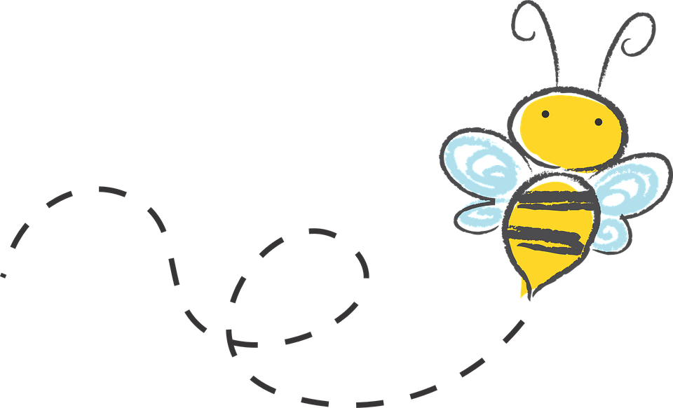 Bringing home a baby bumble bee