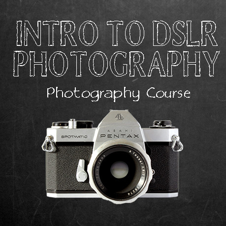 101 - Intro to DSLR Photography | Transitions Images