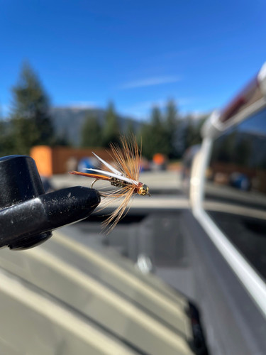 Prince nymph | Rolls Trout Flies