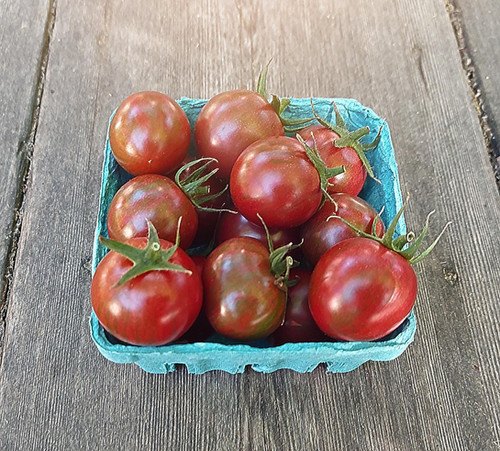 Tomatoes - Cherry - Purple Bumblebee Seeds | Martha's Garden