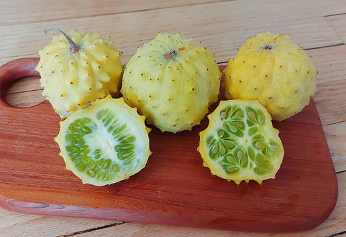 Jelly Melon - Round Jelly Melon Seeds | Martha's Garden