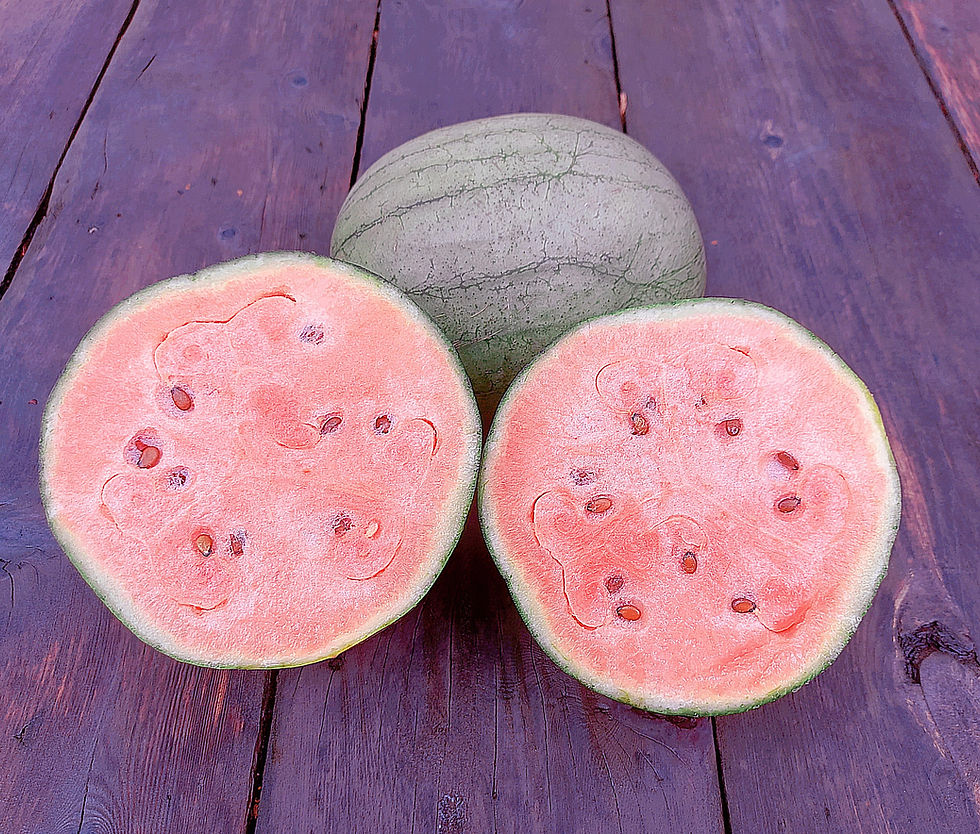 Watermelon - Early Girl Seeds | Martha's Garden