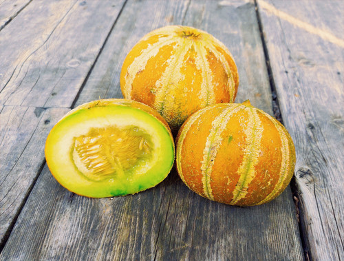 Kajari Melon Seeds | Martha's Garden Seeds