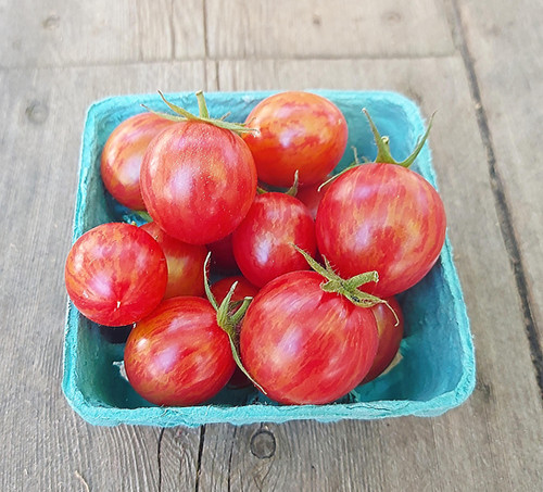 Tomatoes - Cherry - Pink Bumblebee Seeds | Martha's Garden