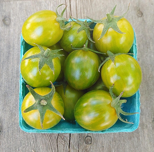 Tomatoes - Cherry - Green Bumblebee Seeds | Martha's Garden