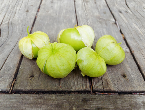 Tomatillo - Grande Green Seeds | Martha's Garden
