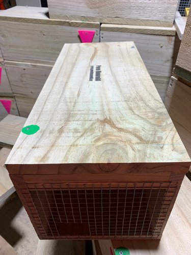 DOC 200 DOUBLE | Pare Hauraki